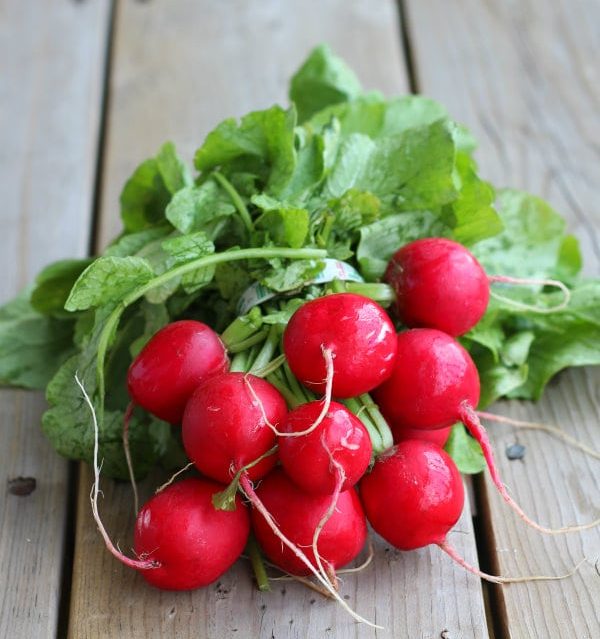 Radish Red | Food Gallery